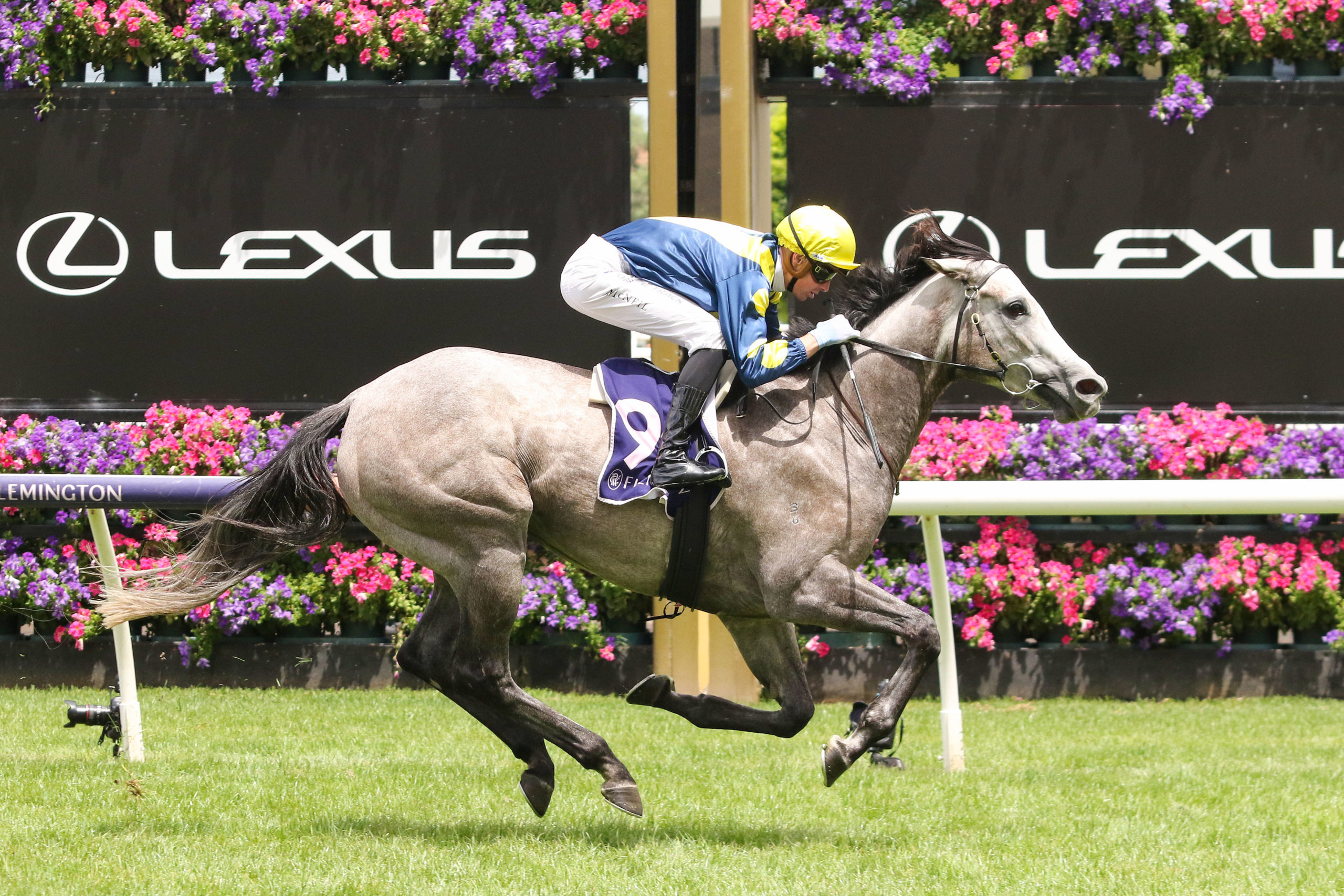 John Dillon Stakes Tips, Odds and Field – 2022